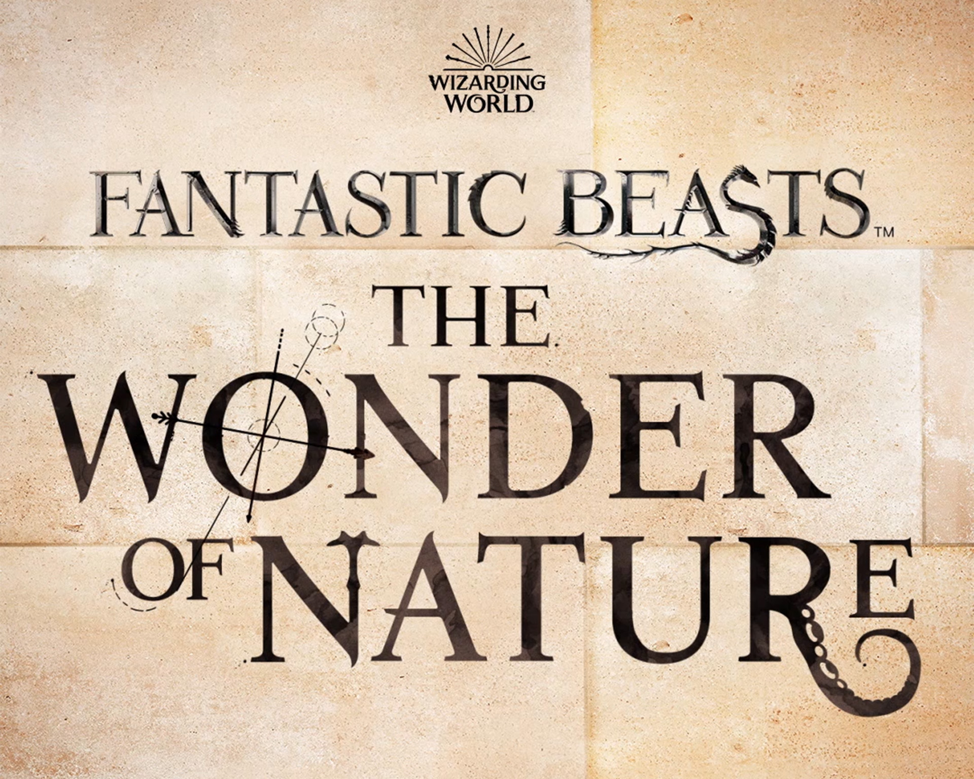 WarnerBros.co.uk | Fantastic Beasts, Magical Creatures and the Wonder ...